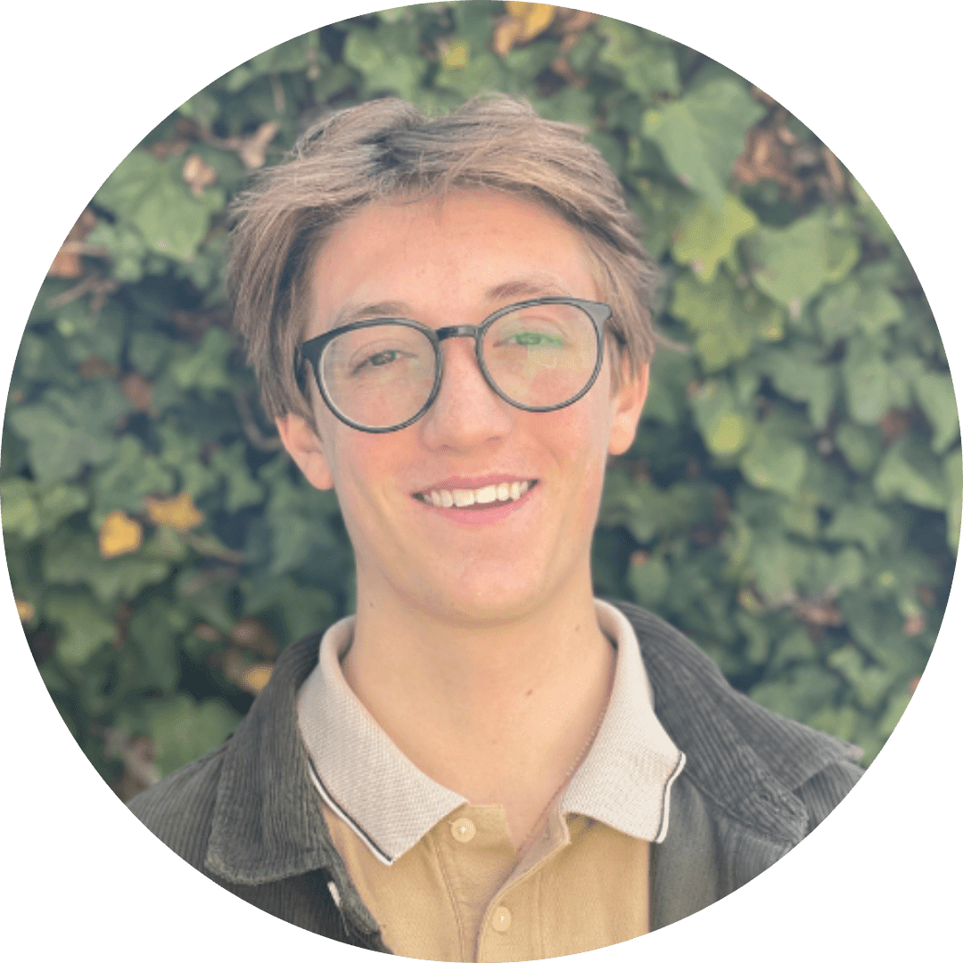 Why Do Crows Caw? Decoding the Caw! - Happy Birding