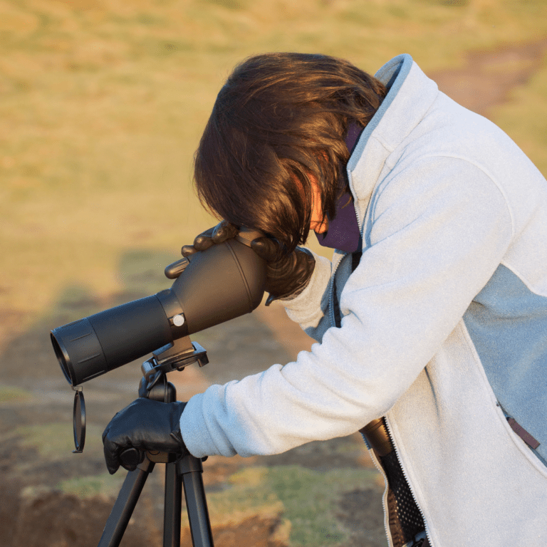 Bird Watching for Beginners | Beginners Guide! - Happy Birding